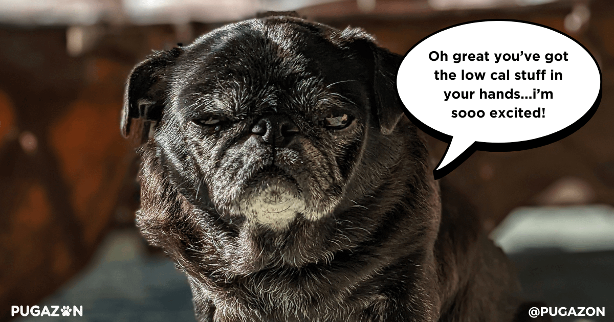 Pug Obesity: Comprehensive Guide to Prevention & Management