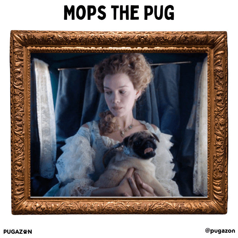 Iconic Pugs in History: Their Remarkable Stories