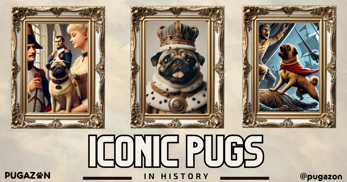 Iconic Pugs in History: Their Remarkable Stories
